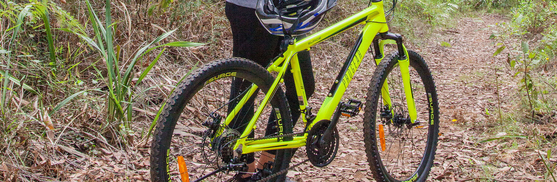 Standard MTB Frame – Progear Bikes